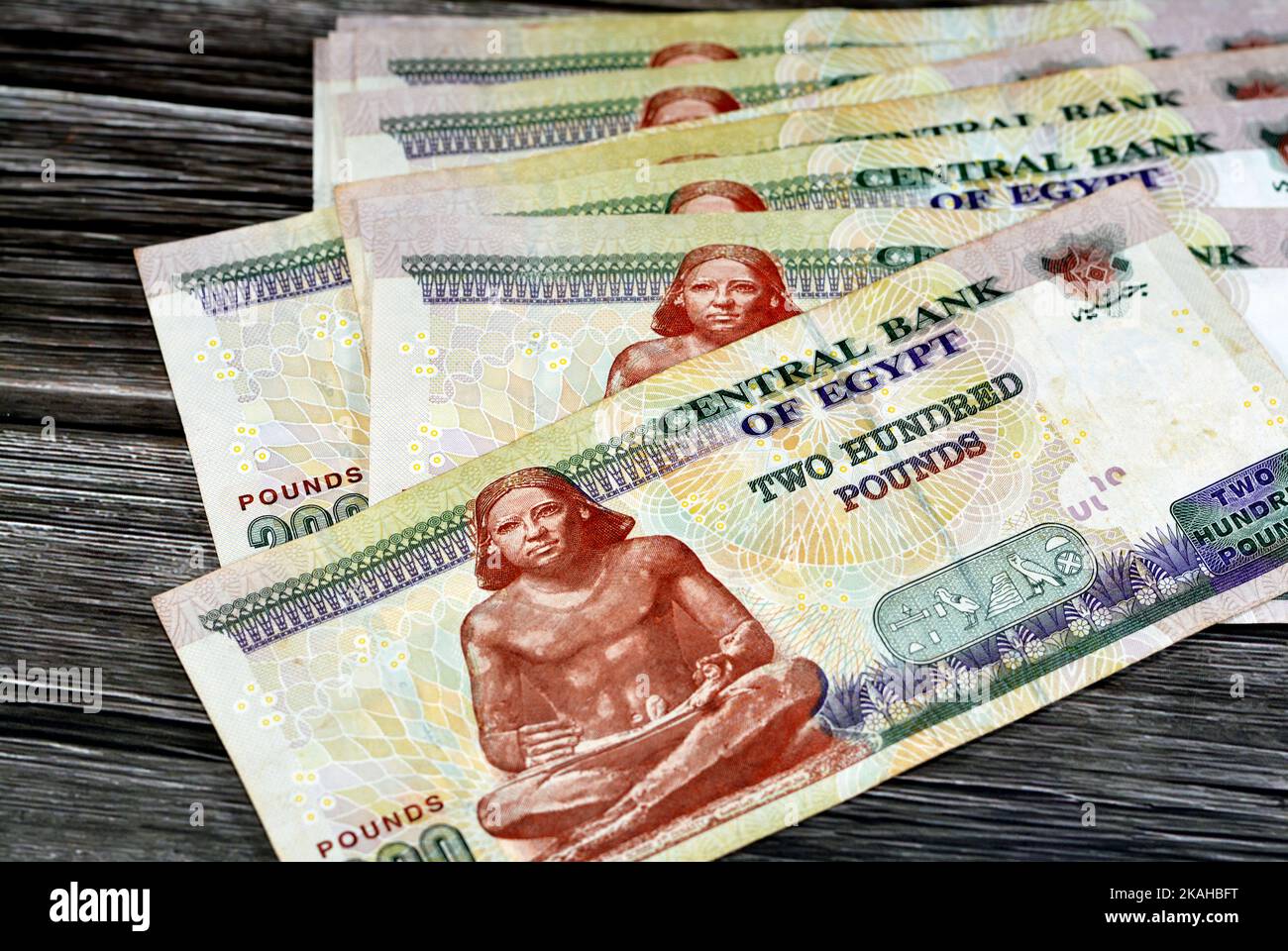 Pile of reverse side of 200 LE two hundred Egyptian pounds banknote ...