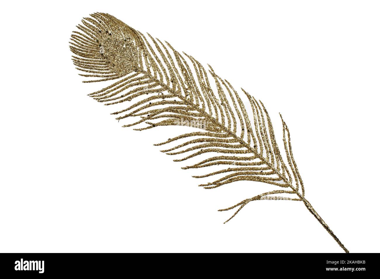 Bird realistic feathers set Cut Out Stock Images & Pictures - Alamy