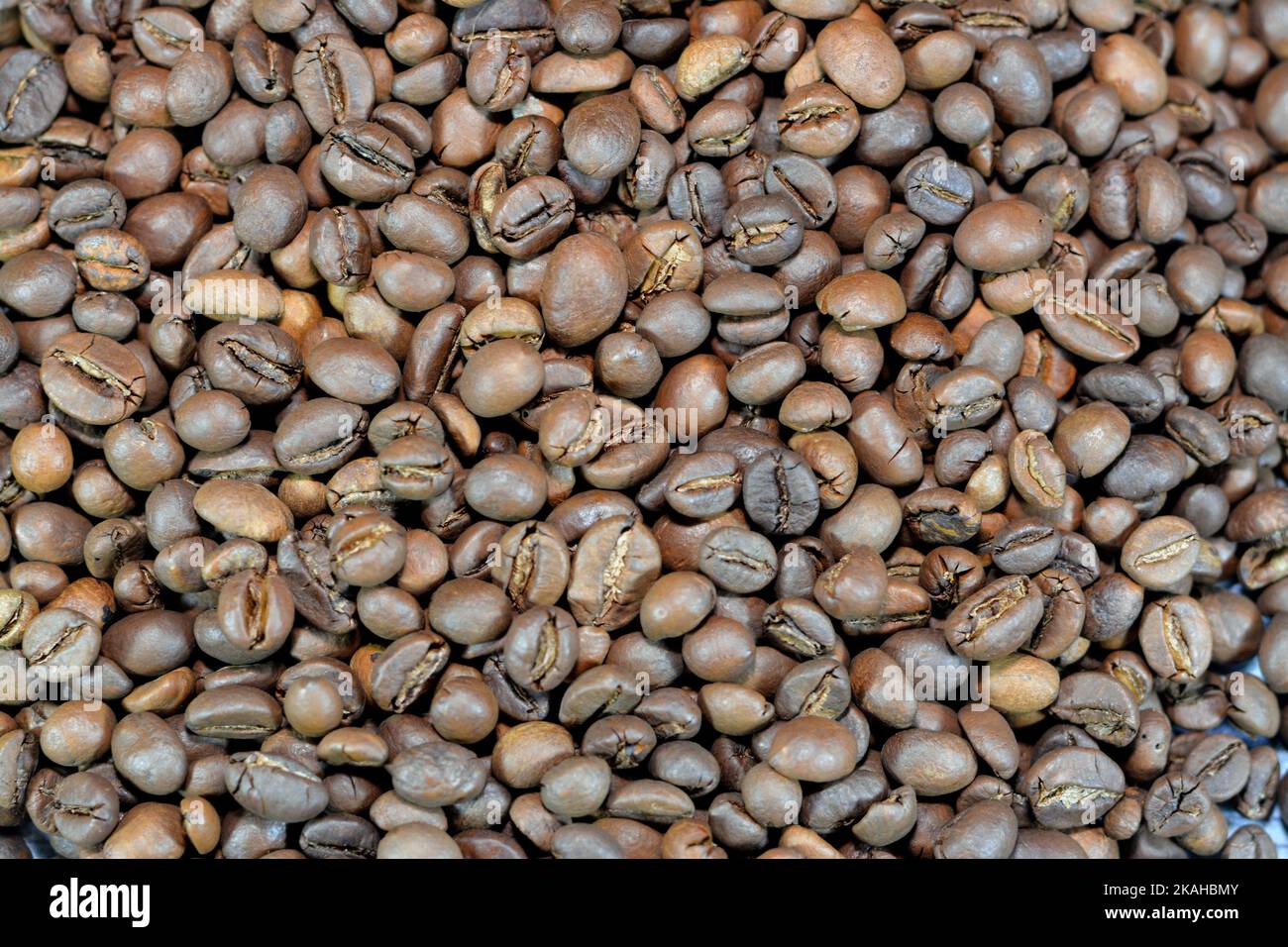 coffee beans, seeds of the Coffea plant and the source for coffee. It ...