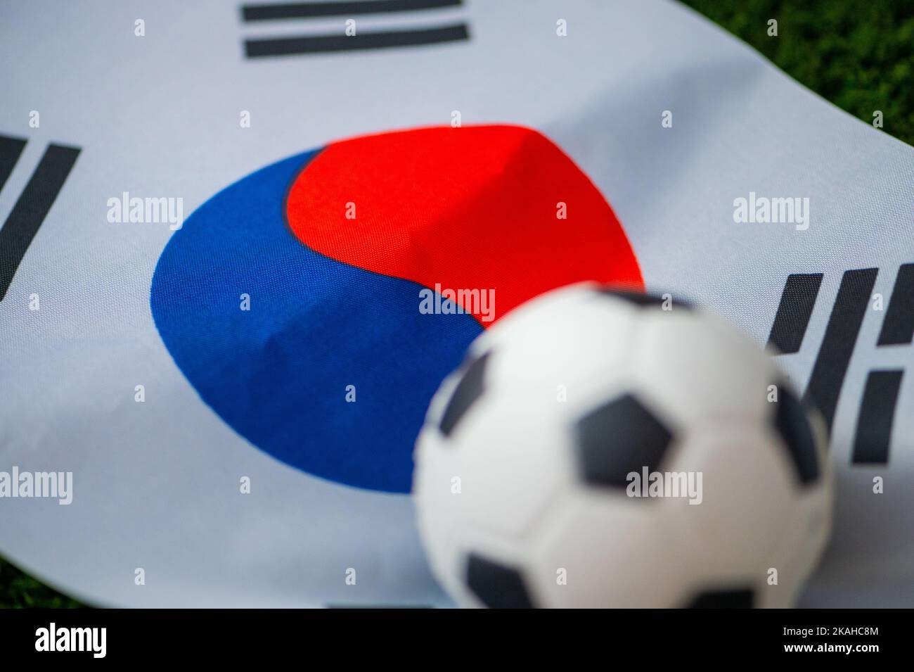 South Korea national football team. National Flag on green grass and ...