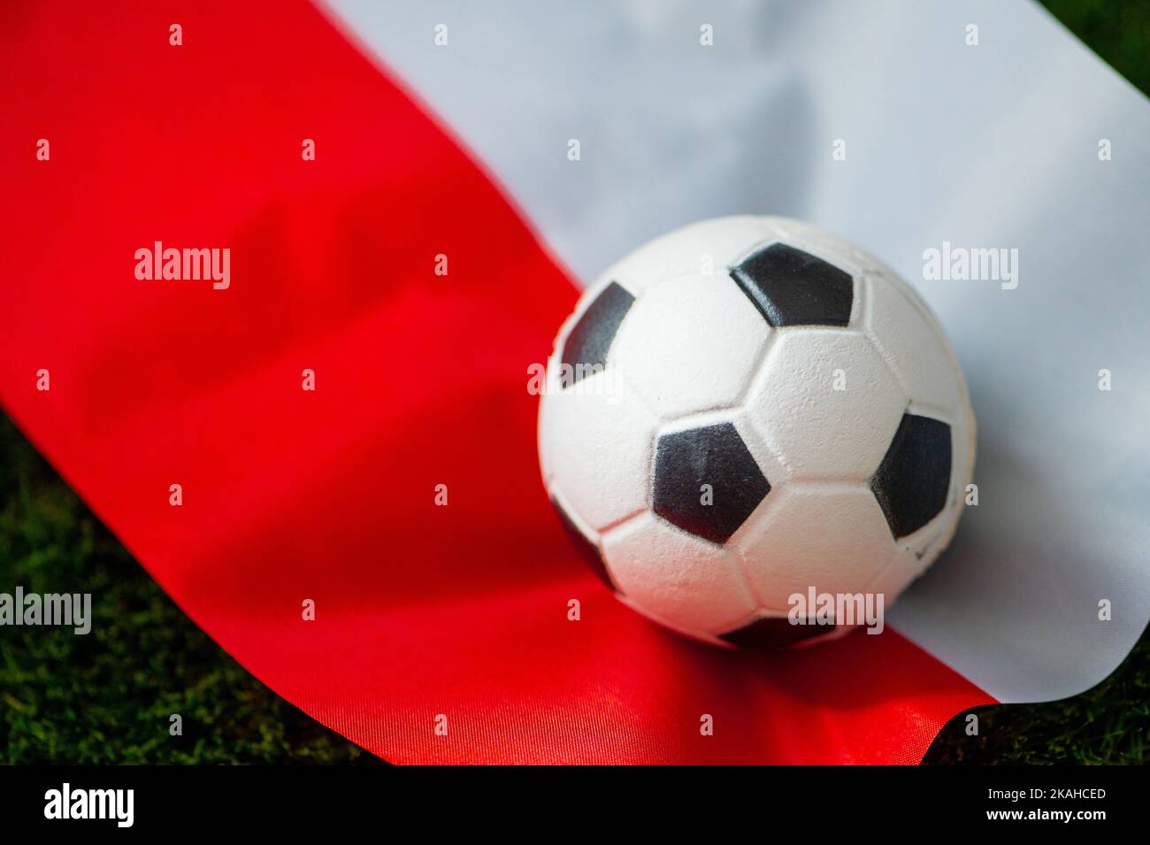Poland national football team. National Flag on green grass and soccer ...