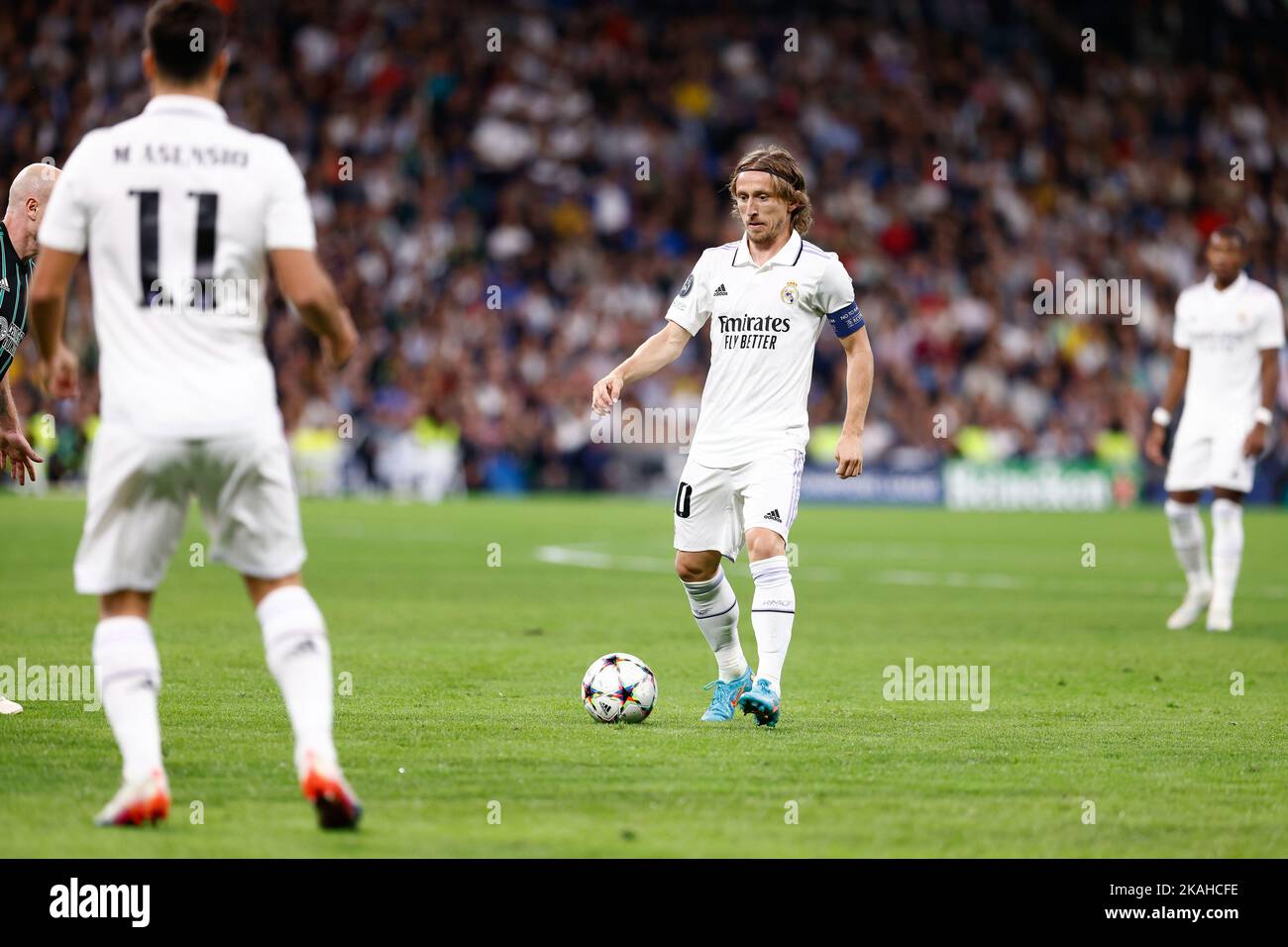 Luka Modric of Real Madrid during the UEFA Champions League, Group F ...