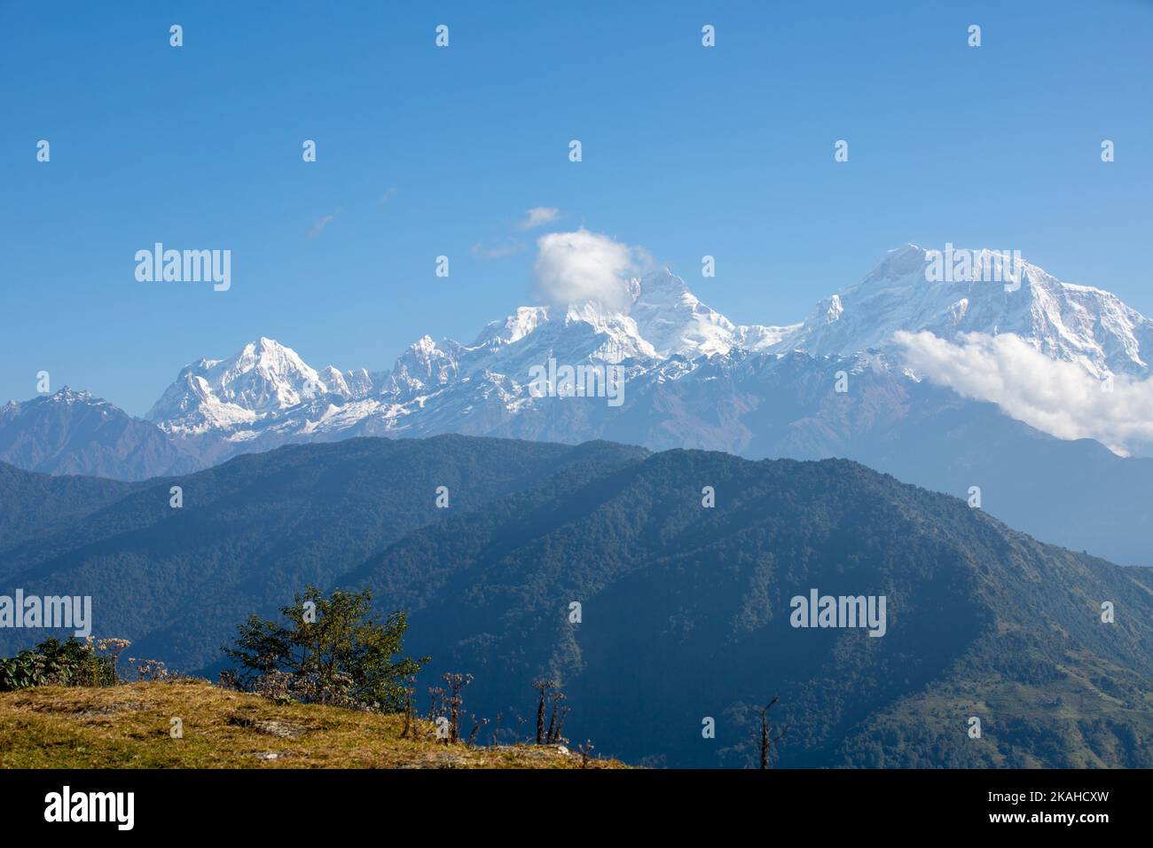 Beautiful village Bhujung and Ghale Gau Stock Photo - Alamy