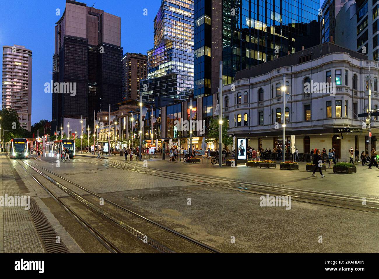 Light rail trams at Circular Quay at blue hour in Sydney, Australia ...