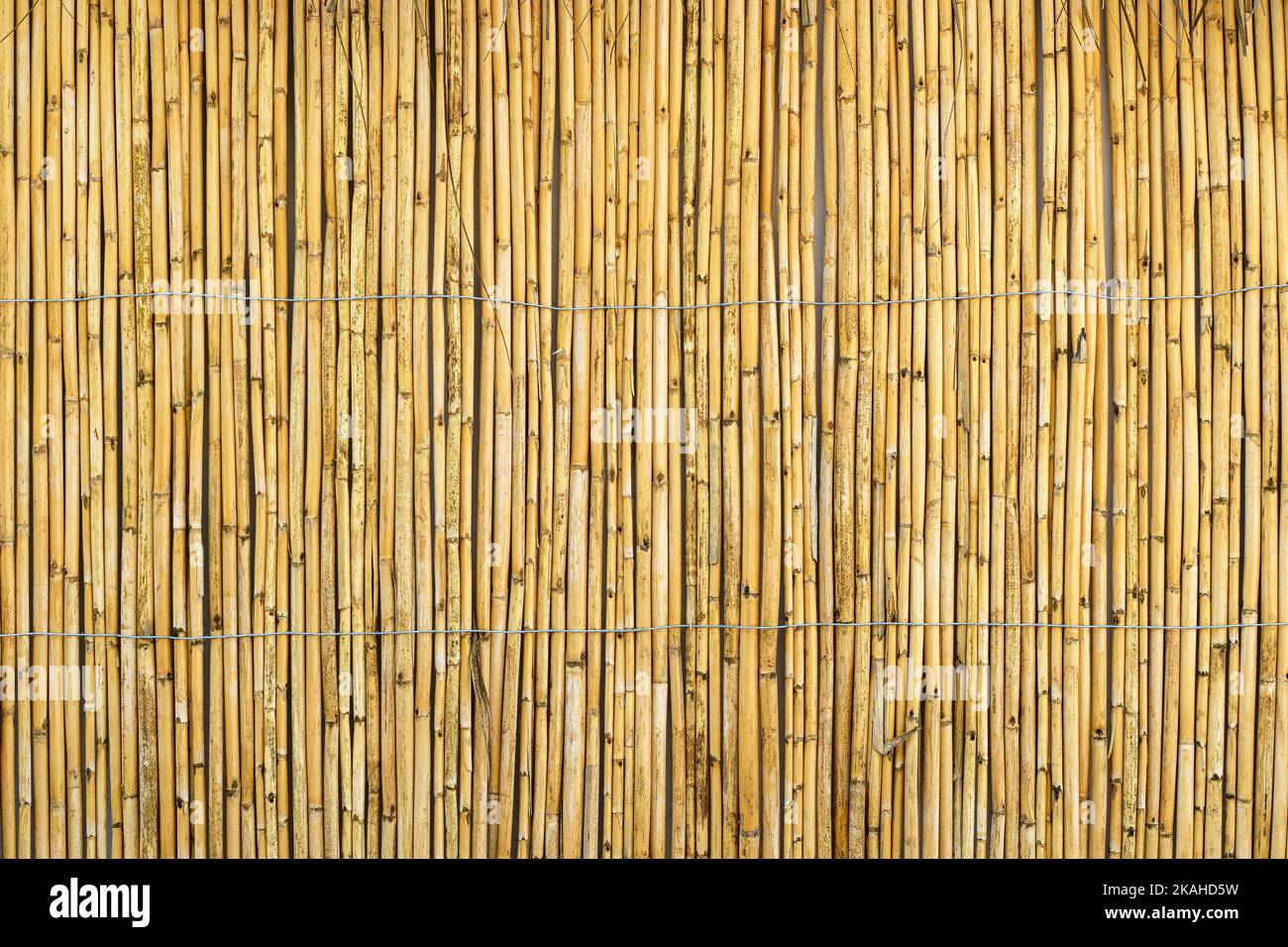 Bamboo background. Wooden texture bamboo plant on the decorative wall ...