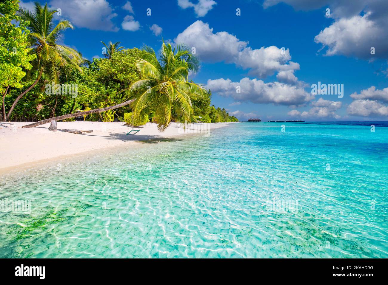 Amazing island beach. Tropical landscape of summer scenery, white sand ...