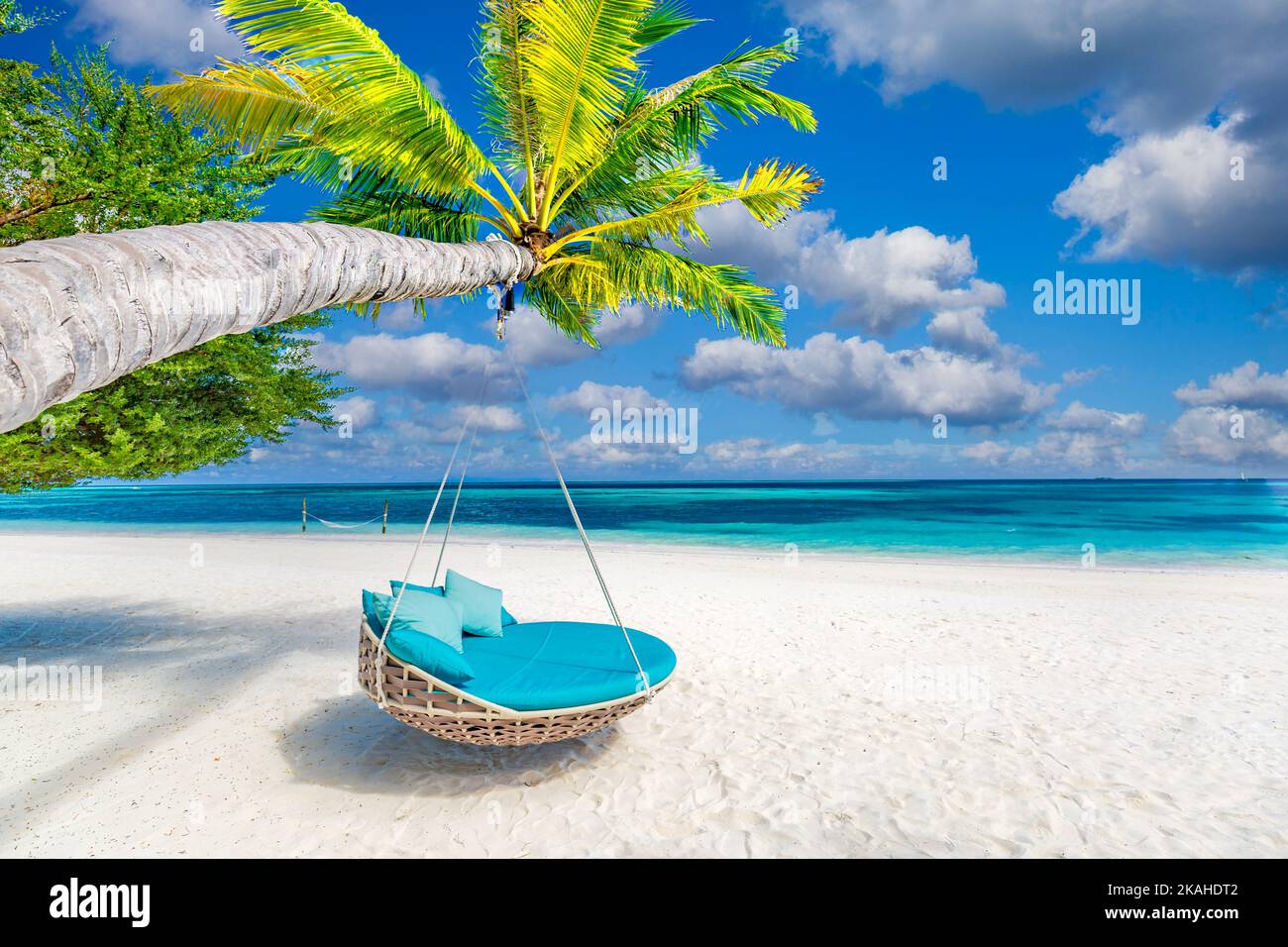 Beach Hammock On Palm Trees