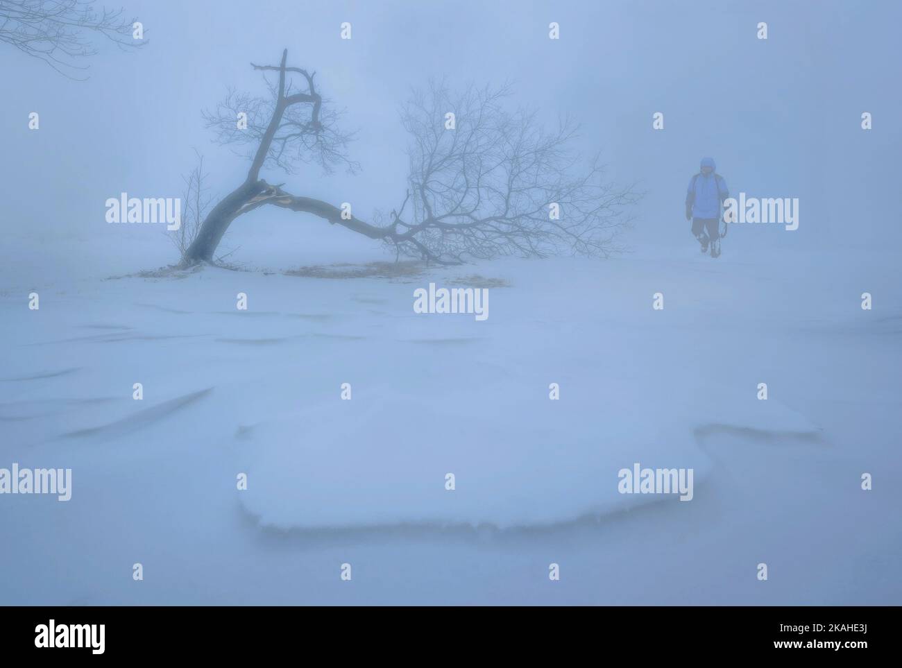 Gorgeous rime views in the Sifangding Scenic Spot, Huinan County ...
