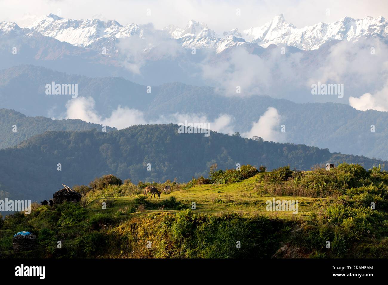Beautiful village Bhujung and Ghale Gau Stock Photo - Alamy