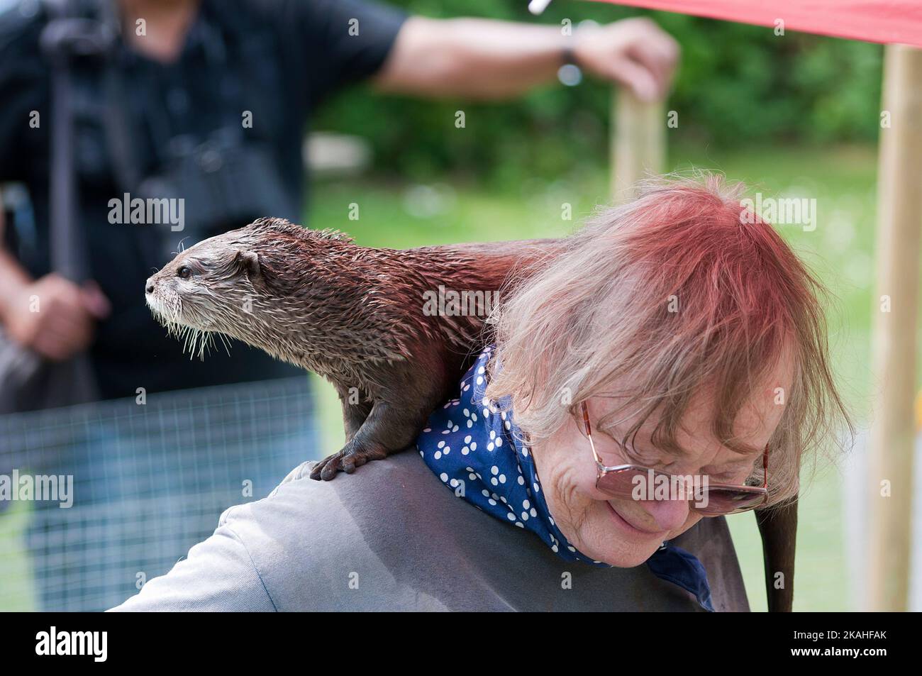 Otter woman hi-res stock photography and images - Alamy