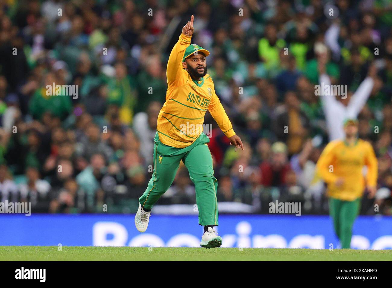 Sydney, Australia. 03rd Nov, 2022. Temba Bavuma of South Africa appeals ...