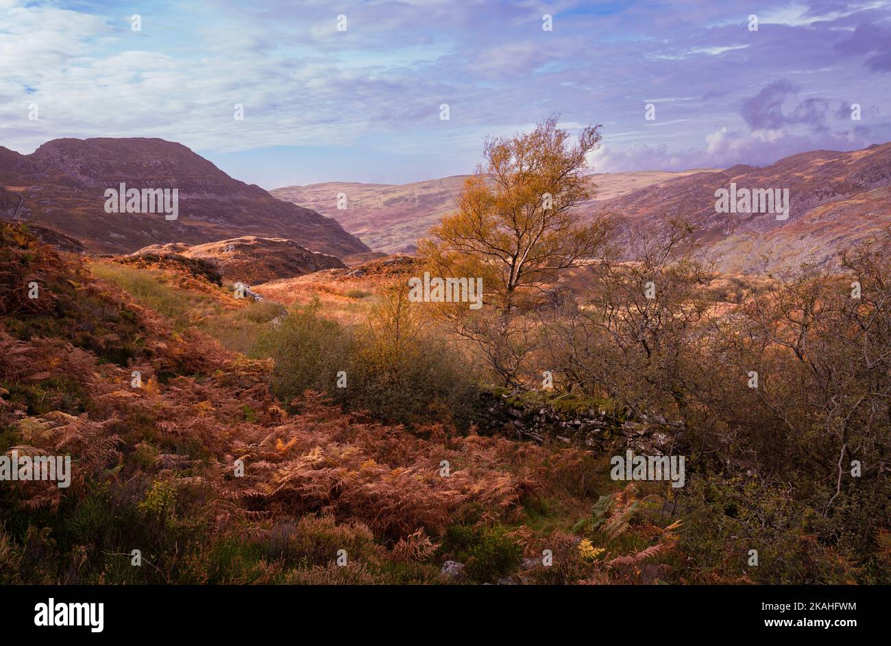 Cwm bychan hi-res stock photography and images - Alamy