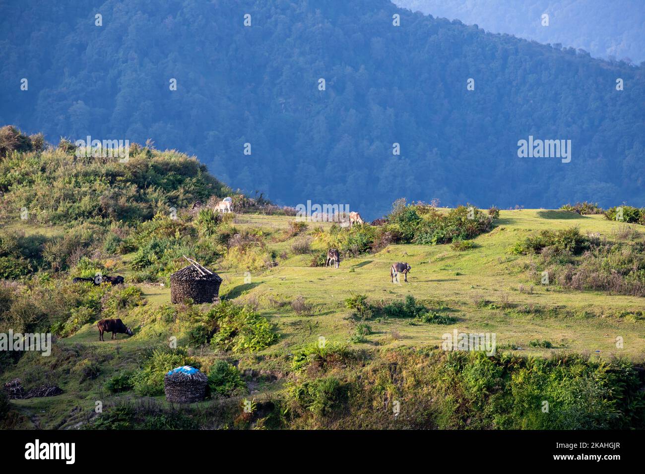 Beautiful Ghale Gau and Bhujung village of Nepal Stock Photo - Alamy
