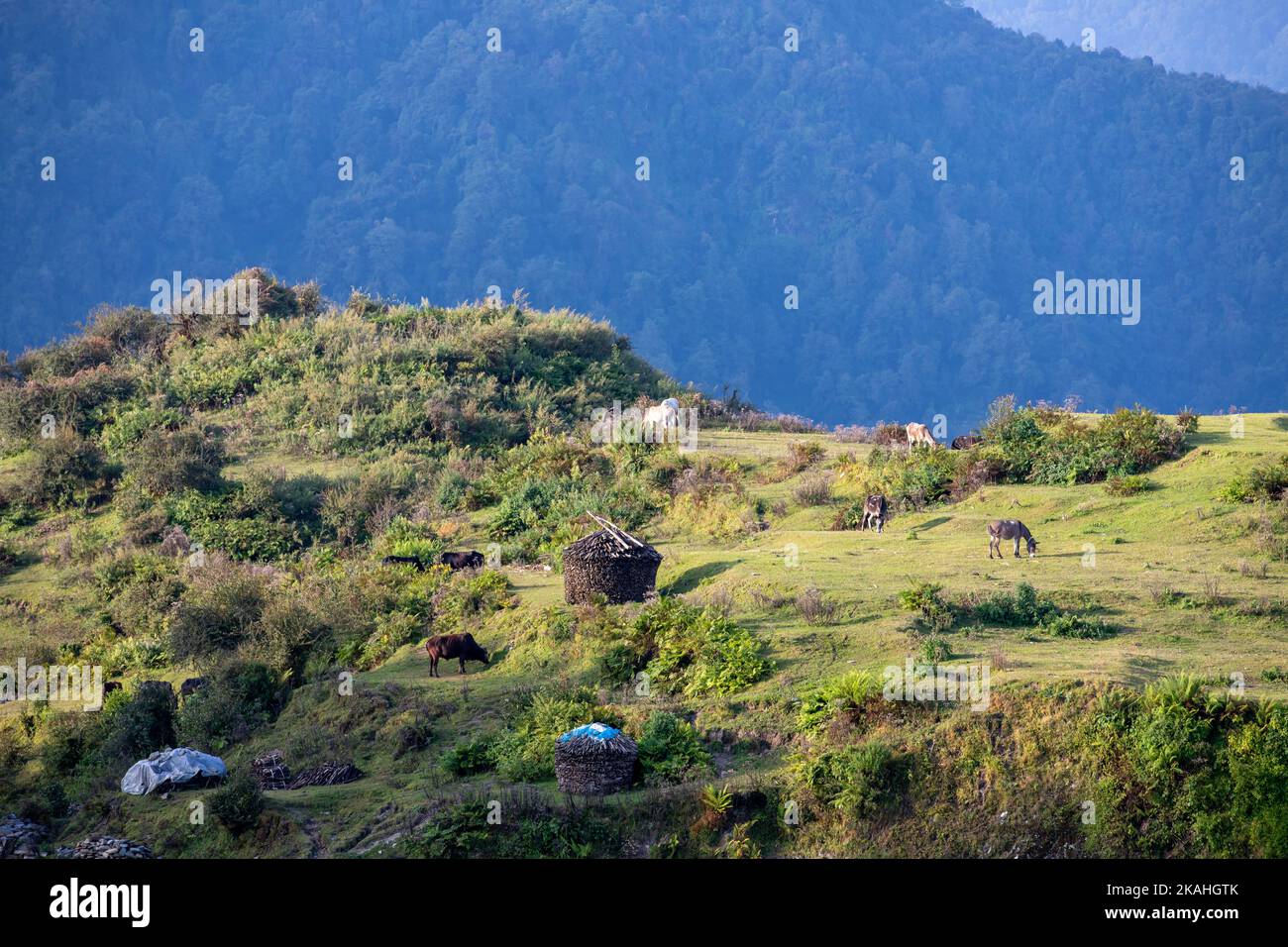 Beautiful Ghale Gau and Bhujung village of Nepal Stock Photo - Alamy