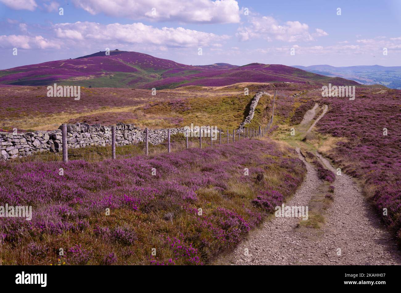 Hillforts north wales uk hi-res stock photography and images - Alamy