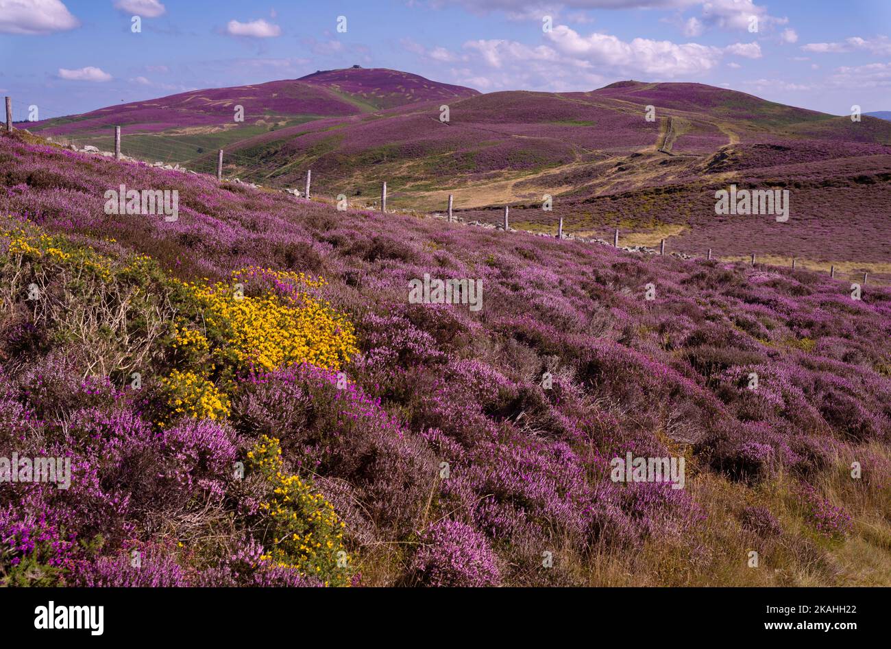 Hillforts north wales uk hi-res stock photography and images - Alamy