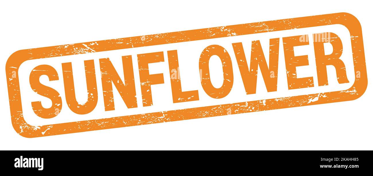 SUNFLOWER text written on orange rectangle stamp sign Stock Photo - Alamy