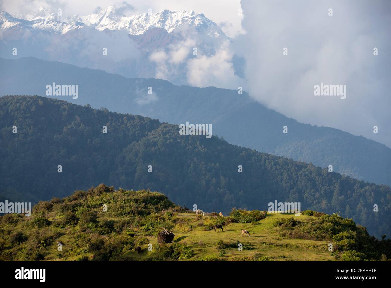 Beautiful Ghale Gau and Bhujung village of Nepal Stock Photo - Alamy