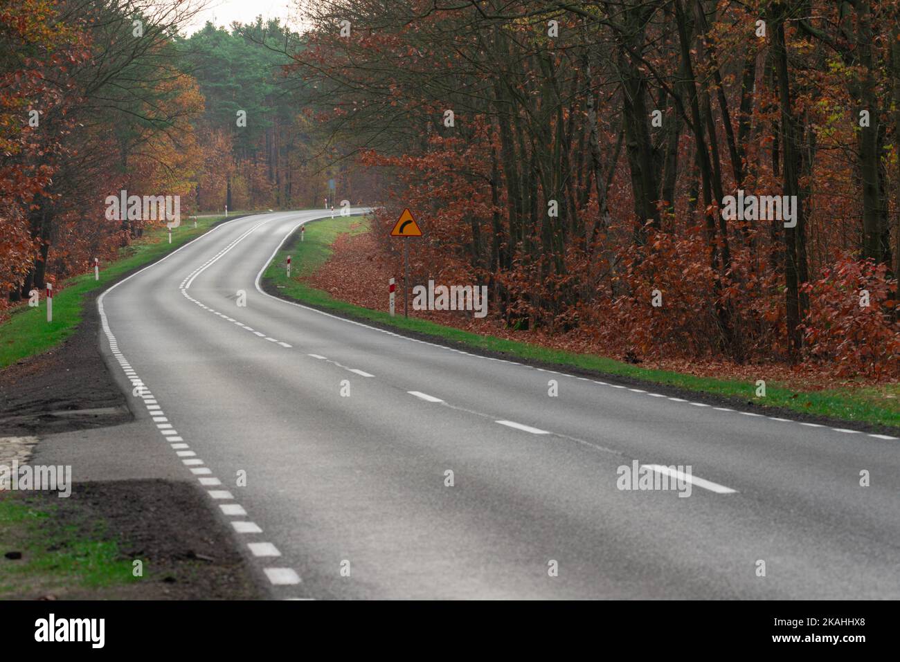 Asphalt road, gently curving. The shoulders are covered with green ...