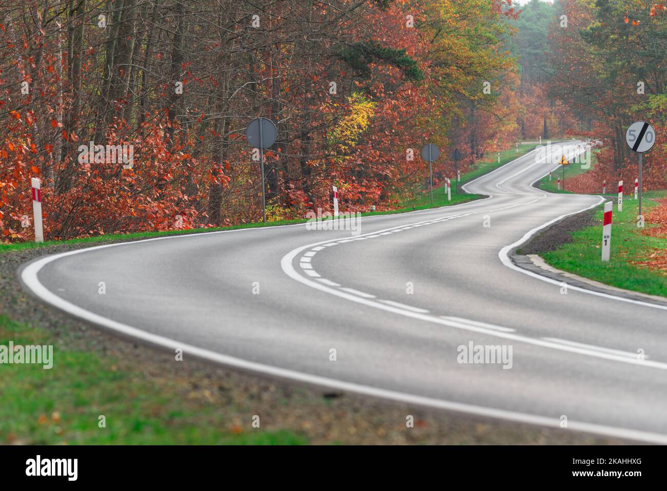 Asphalt road, gently curving. The shoulders are covered with green ...