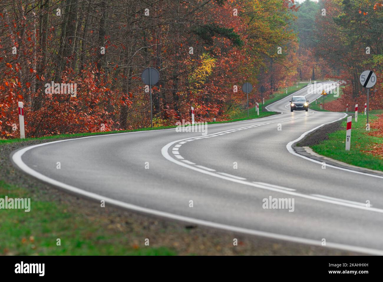 Asphalt road, gently curving. The shoulders are covered with green ...