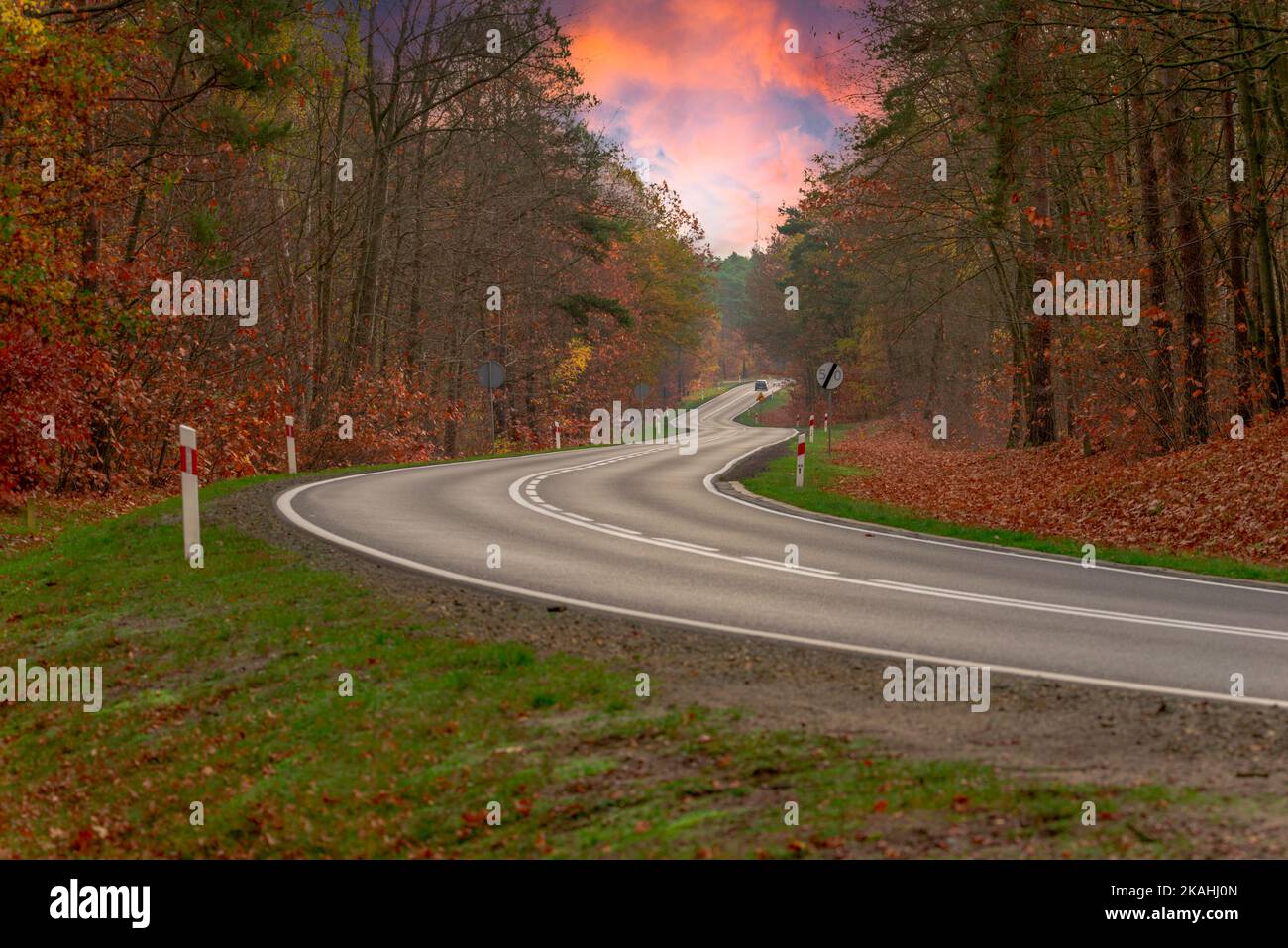 Asphalt road, gently curving. The shoulders are covered with green ...