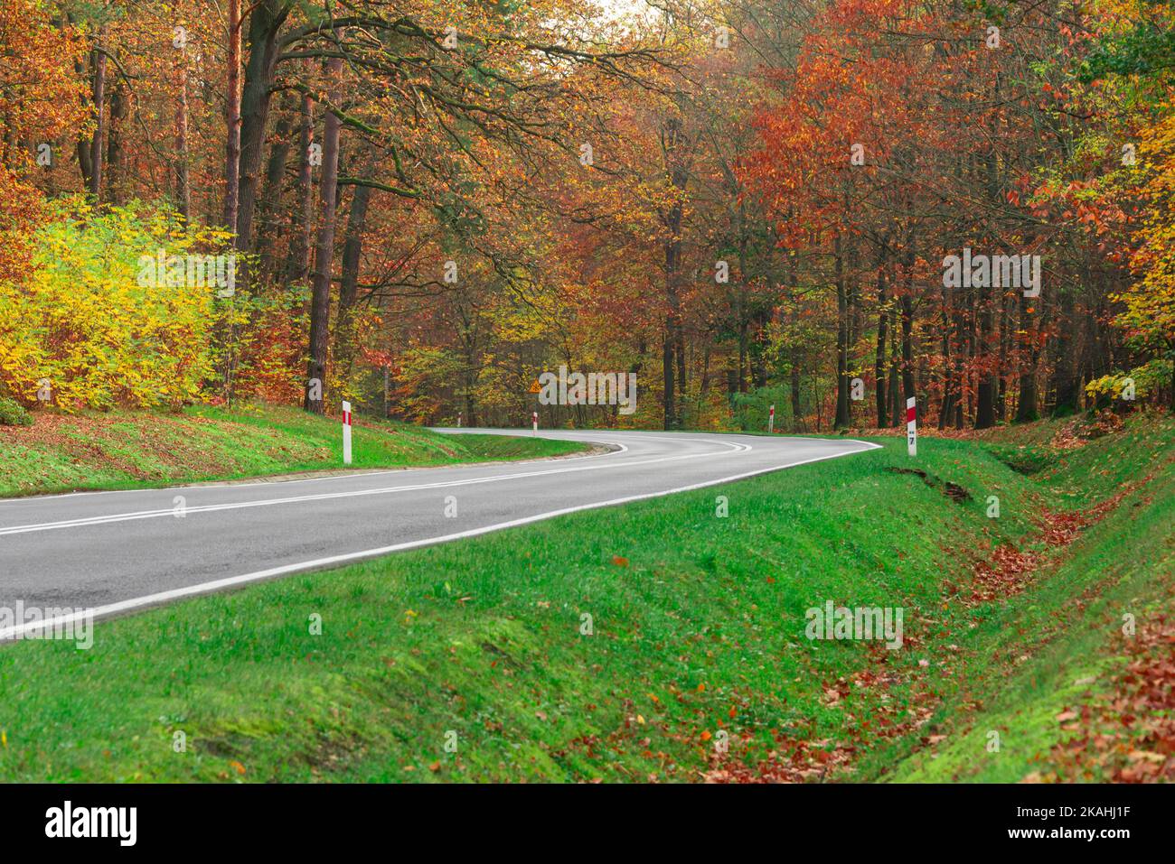 Asphalt road, gently curving. The shoulders are covered with green ...