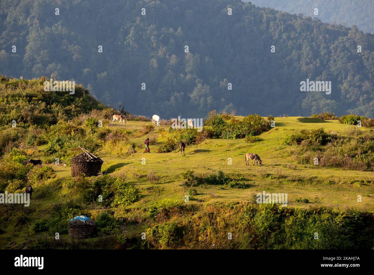 Beautiful Ghale Gau and Bhujung village of Nepal Stock Photo - Alamy