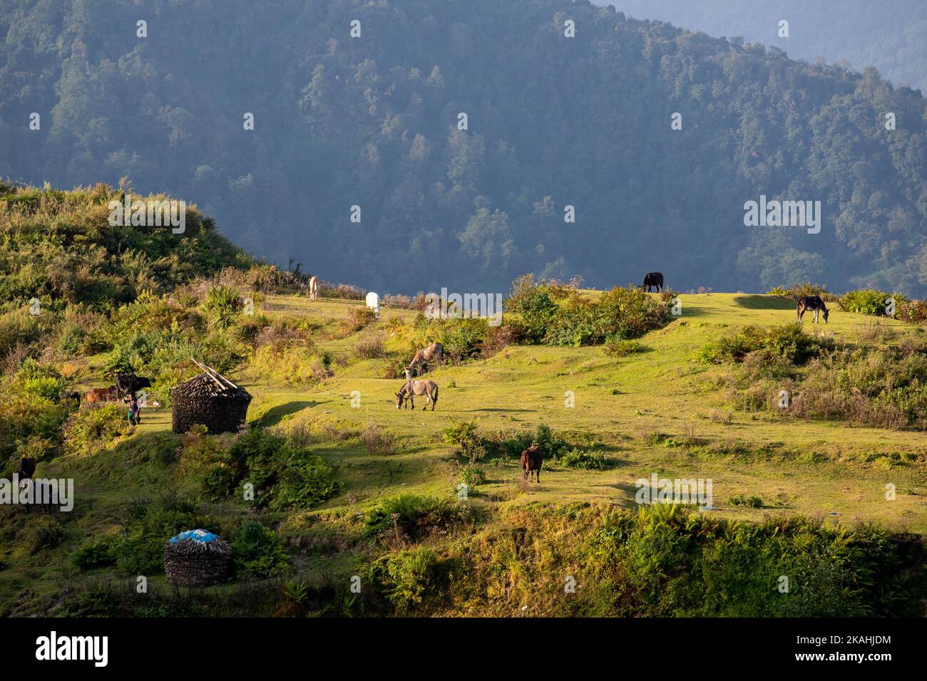 Beautiful Ghale Gau and Bhujung village of Nepal Stock Photo - Alamy