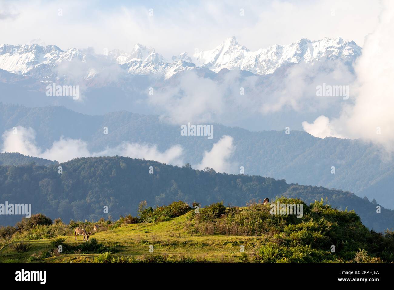 Beautiful Ghale Gau and Bhujung village of Nepal Stock Photo - Alamy