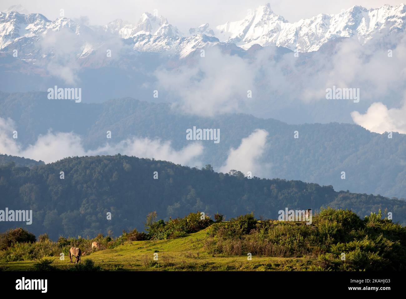 Beautiful Ghale Gau and Bhujung village of Nepal Stock Photo - Alamy