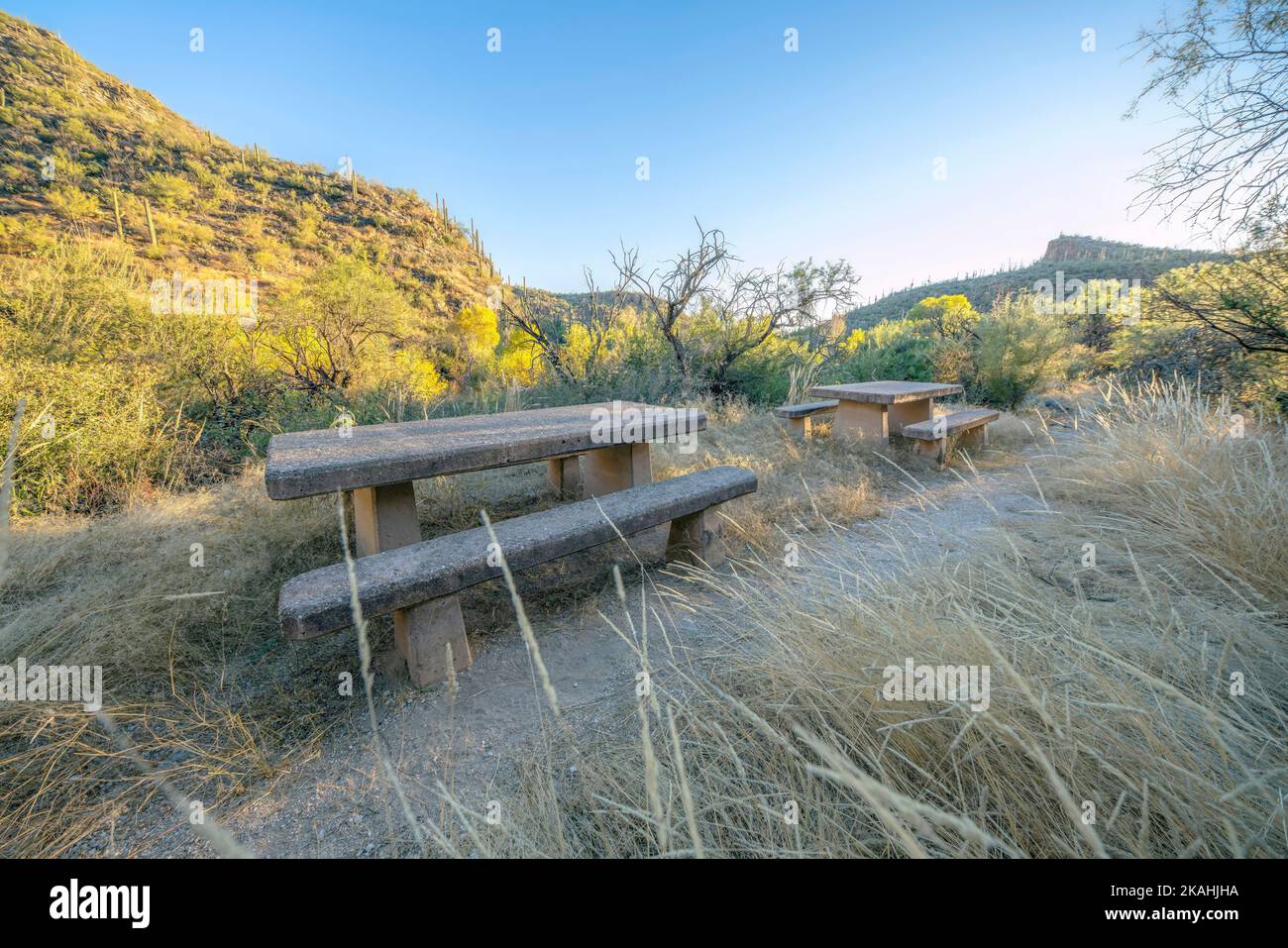 Picnic tables and benches along a hiking trail in Sabino Canyon Arizona ...