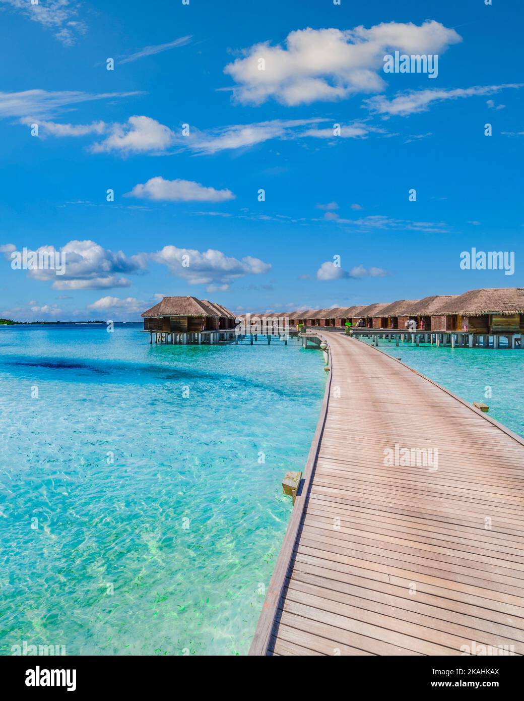 Maldives paradise background. Tropical aerial landscape, seascape with ...