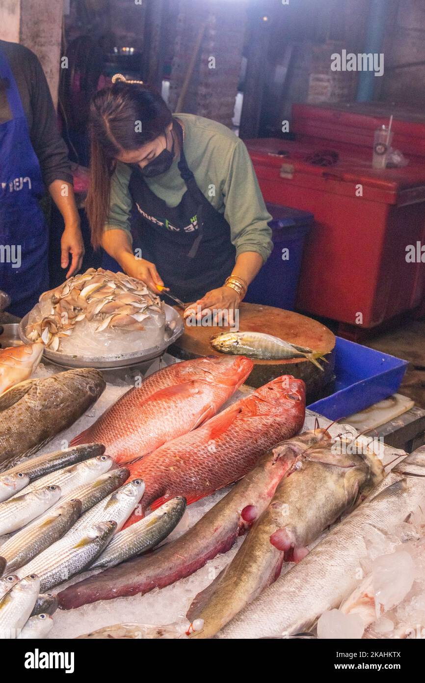Caught Fesh Seafood for Sale at a Thai Street Fish Market in Thailand ...