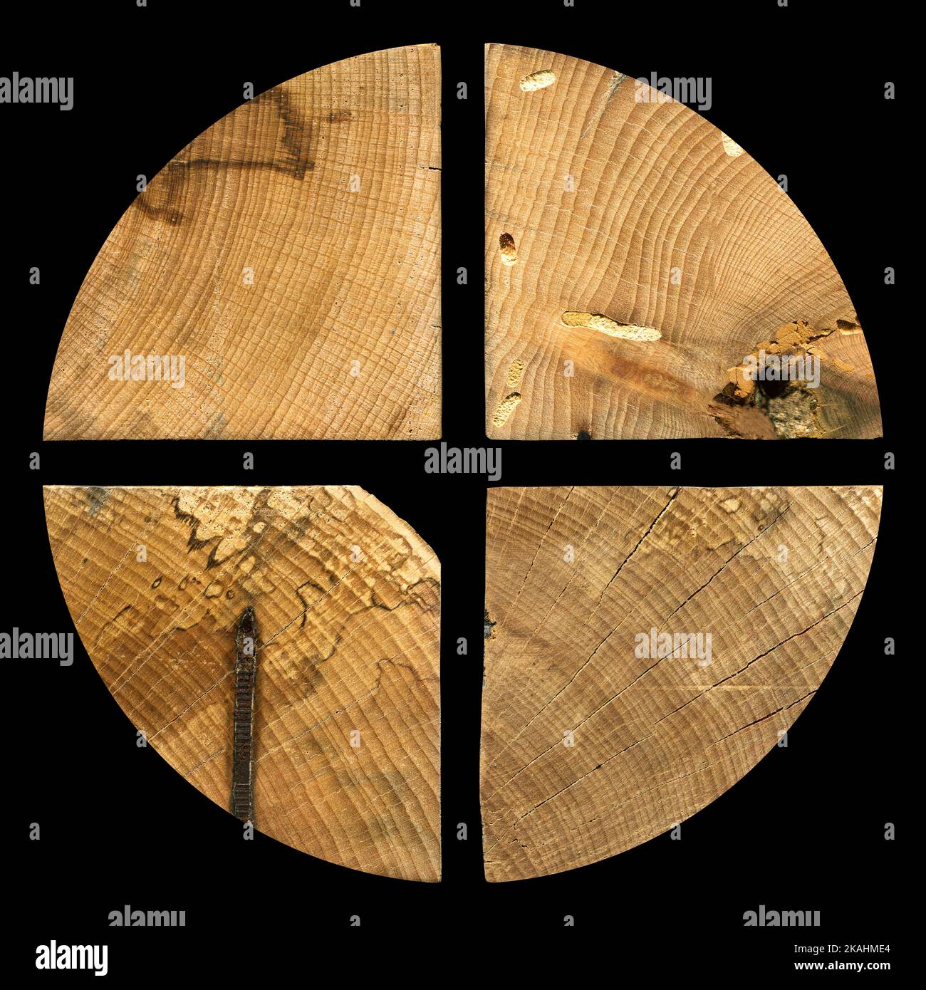 Wood grain texture. Hornbeam round wood, can be used as background ...