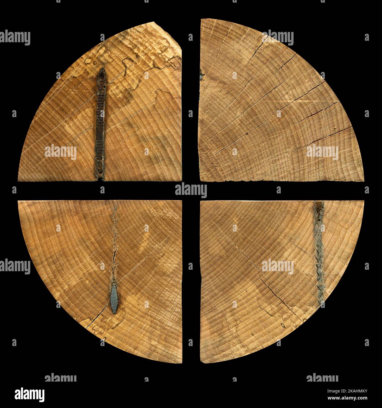 Wood grain texture. Hornbeam round wood, can be used as background ...