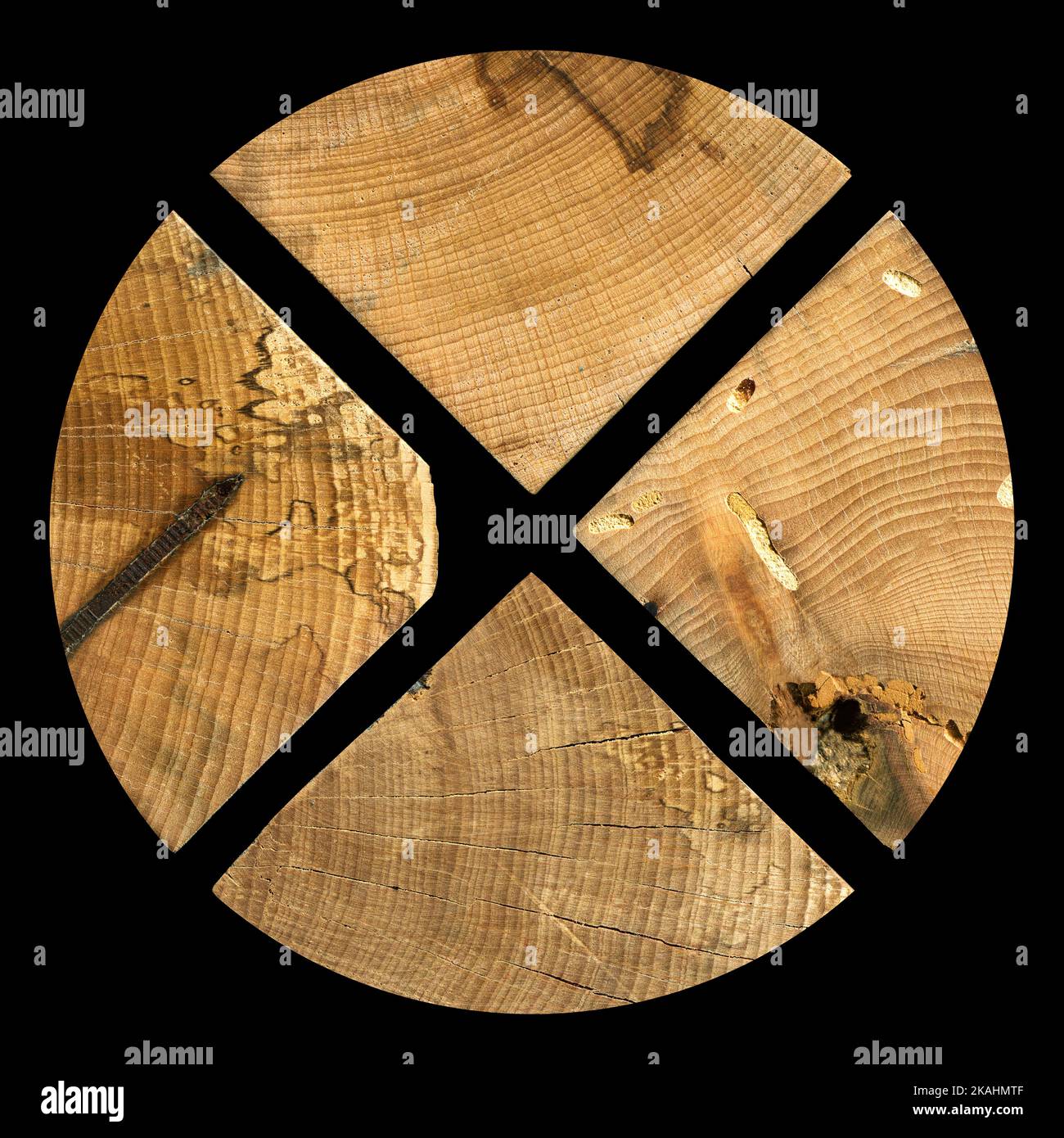 Wood grain texture. Hornbeam round wood, can be used as background ...