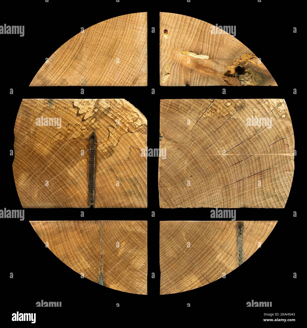 Wood grain texture. Hornbeam round wood, can be used as background ...