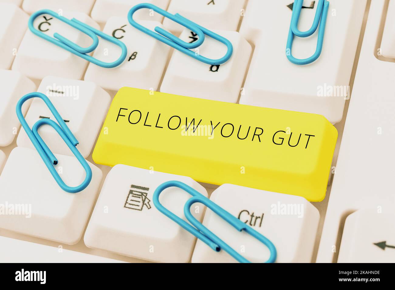 Conceptual display Follow Your Gut. Word Written on Listen to intuition ... Conceptual display Follow Your Gut. Word Written on Listen to intuition ...