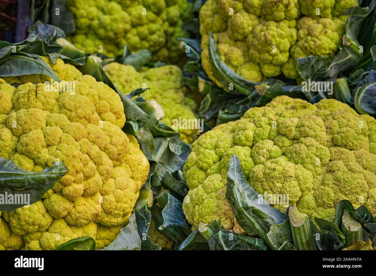 Green cauliflower heads on a street market in Italy Stock Photo - Alamy