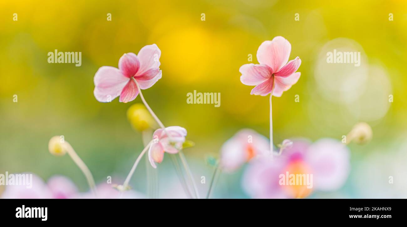 Love nature colors hi-res stock photography and images - Alamy