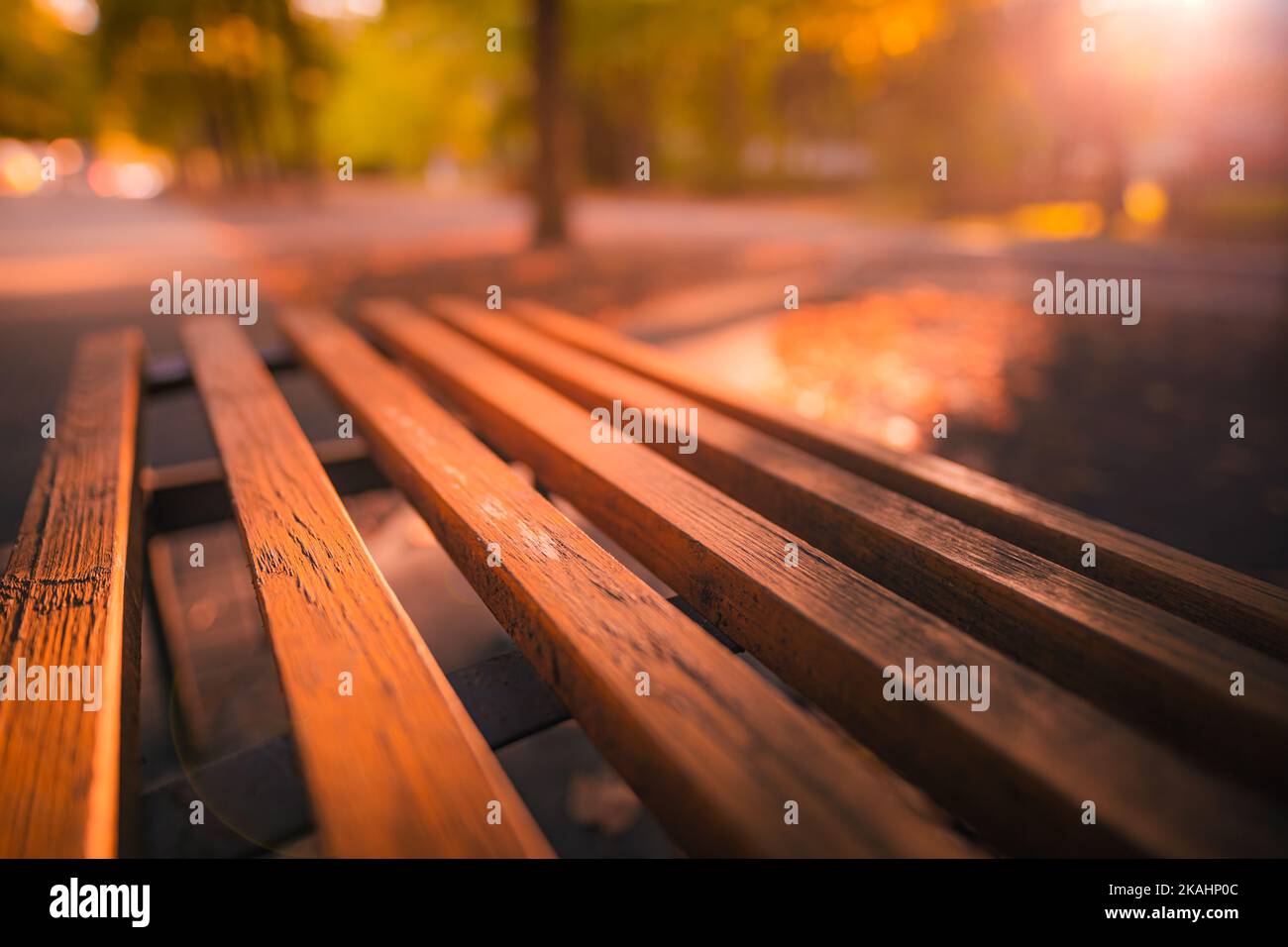Fall park bench autumn urban landscape recreation. Peaceful relaxing ...