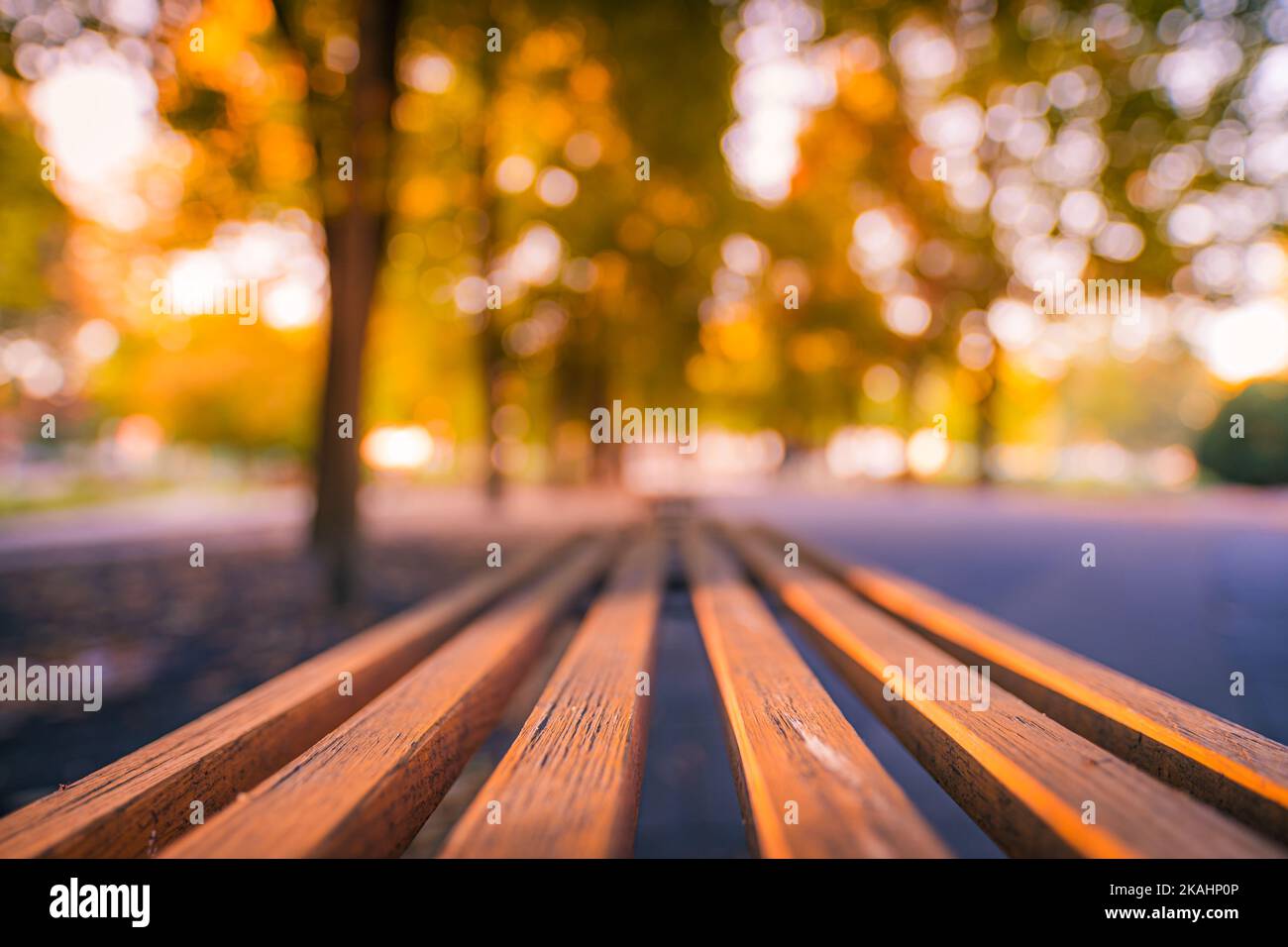 Fall park bench autumn urban landscape recreation. Peaceful relaxing ...