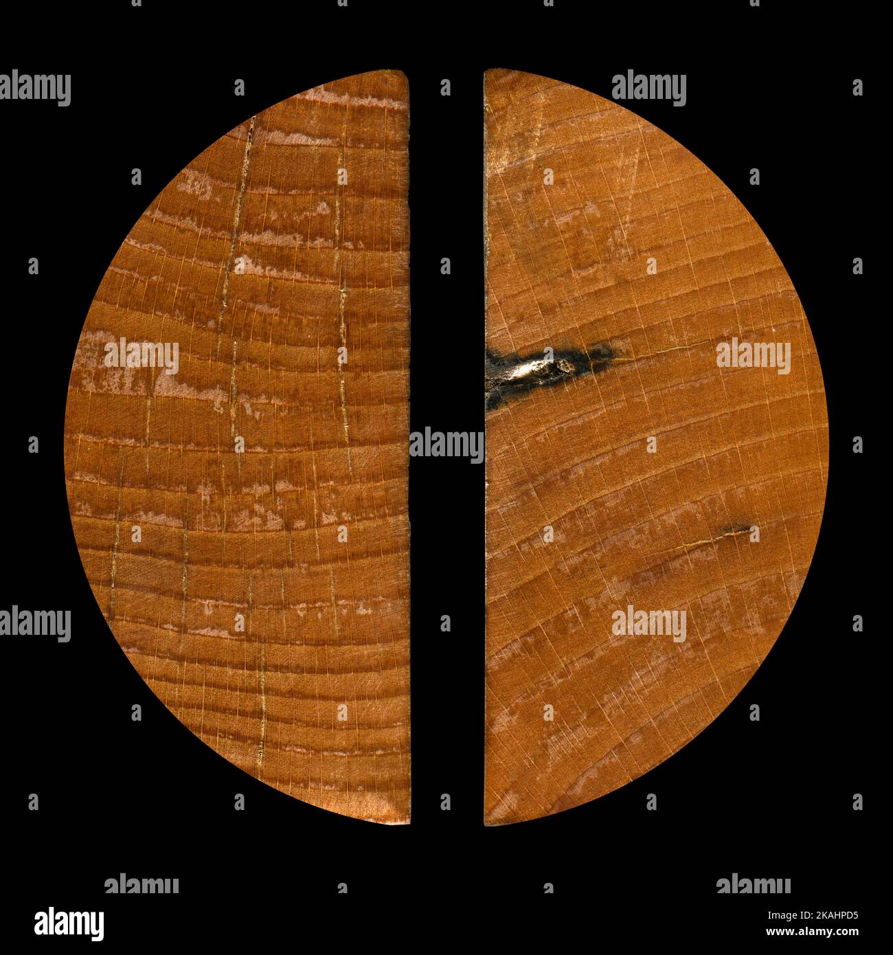 Wood grain texture. Hornbeam round wood, can be used as background ...
