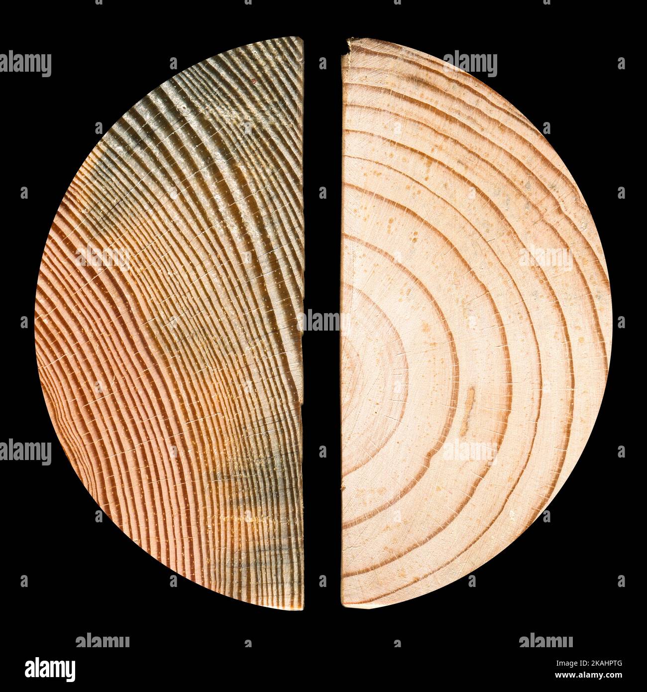 Wood grain texture. Pine round wood, can be used as background, pattern ...