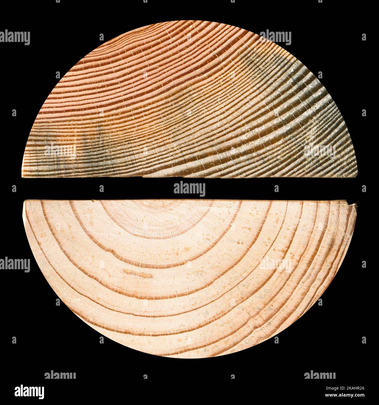 Wood grain texture. Pine round wood, can be used as background, pattern ...