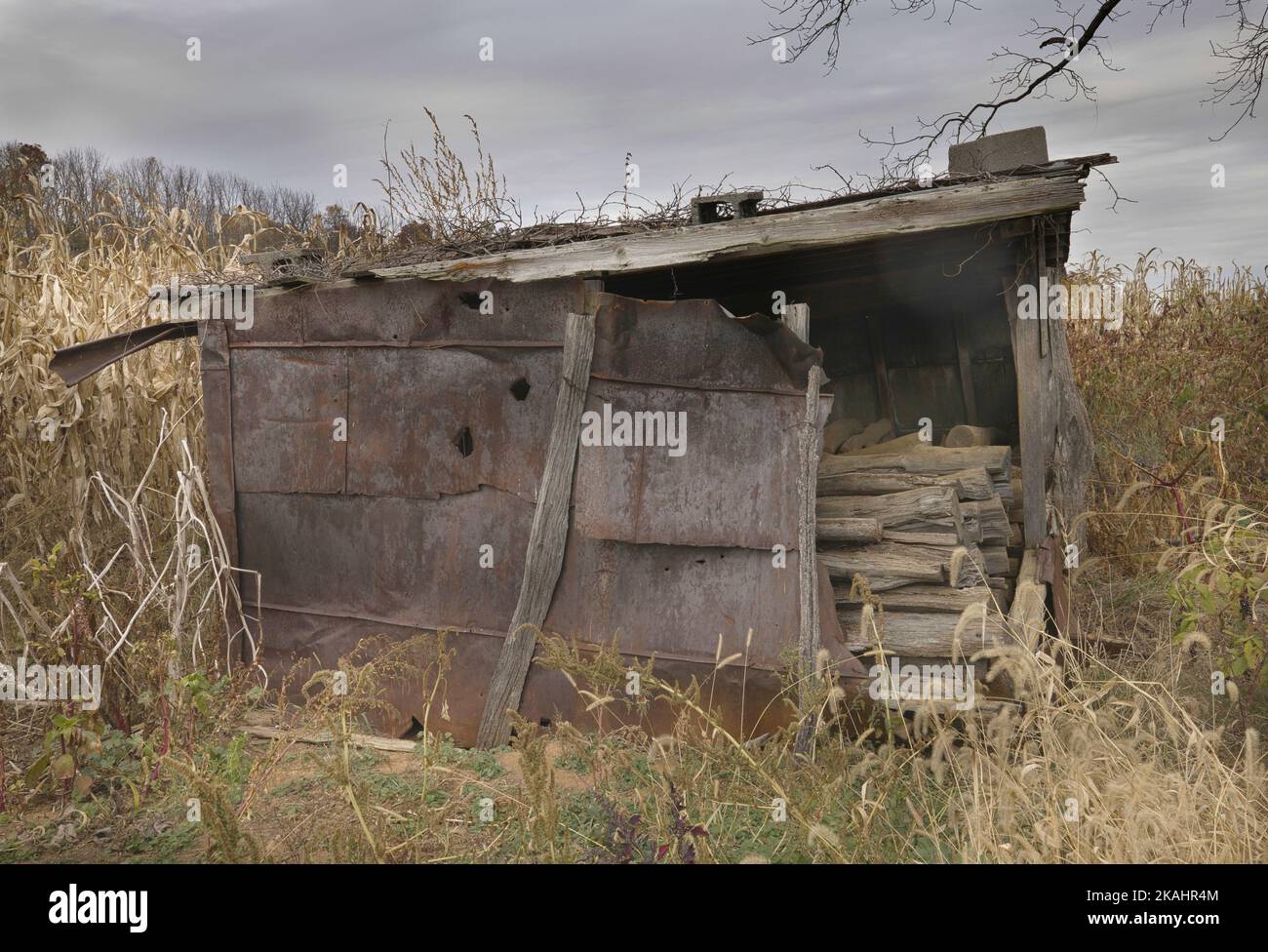 Hillbilly shack hi-res stock photography and images - Alamy