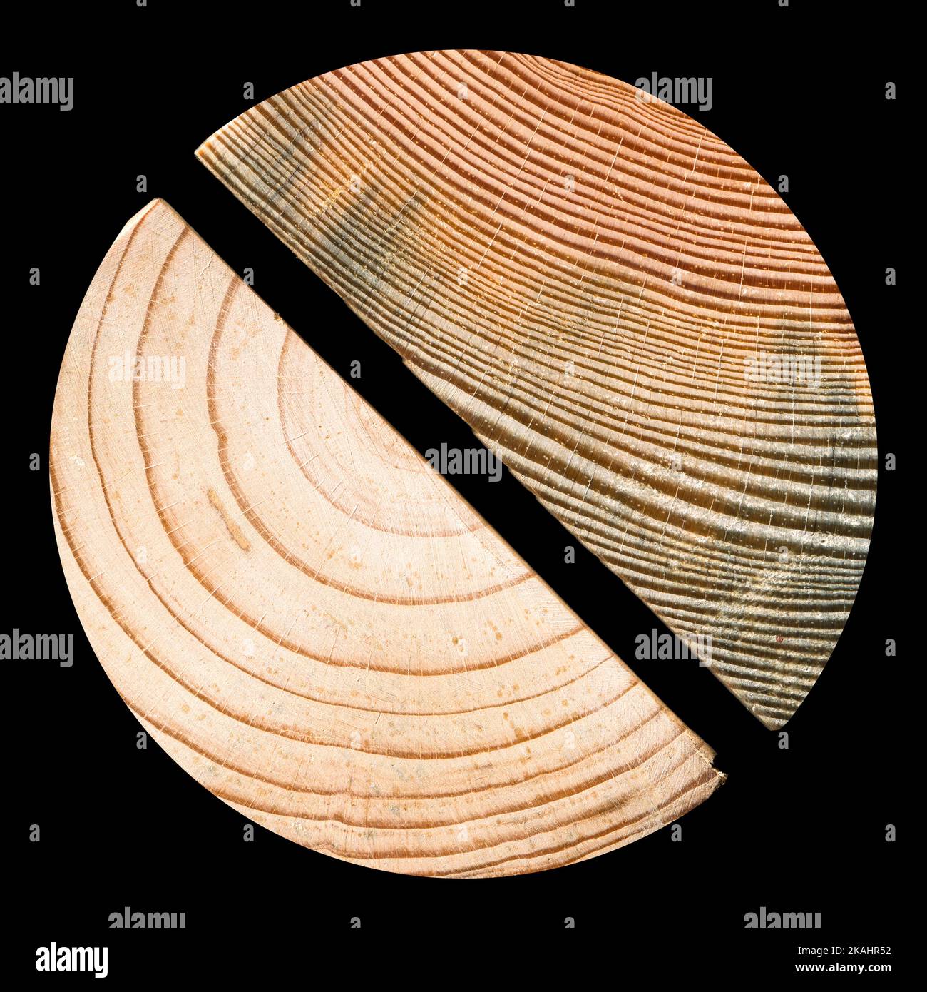 Wood grain texture. Pine round wood, can be used as background, pattern ...