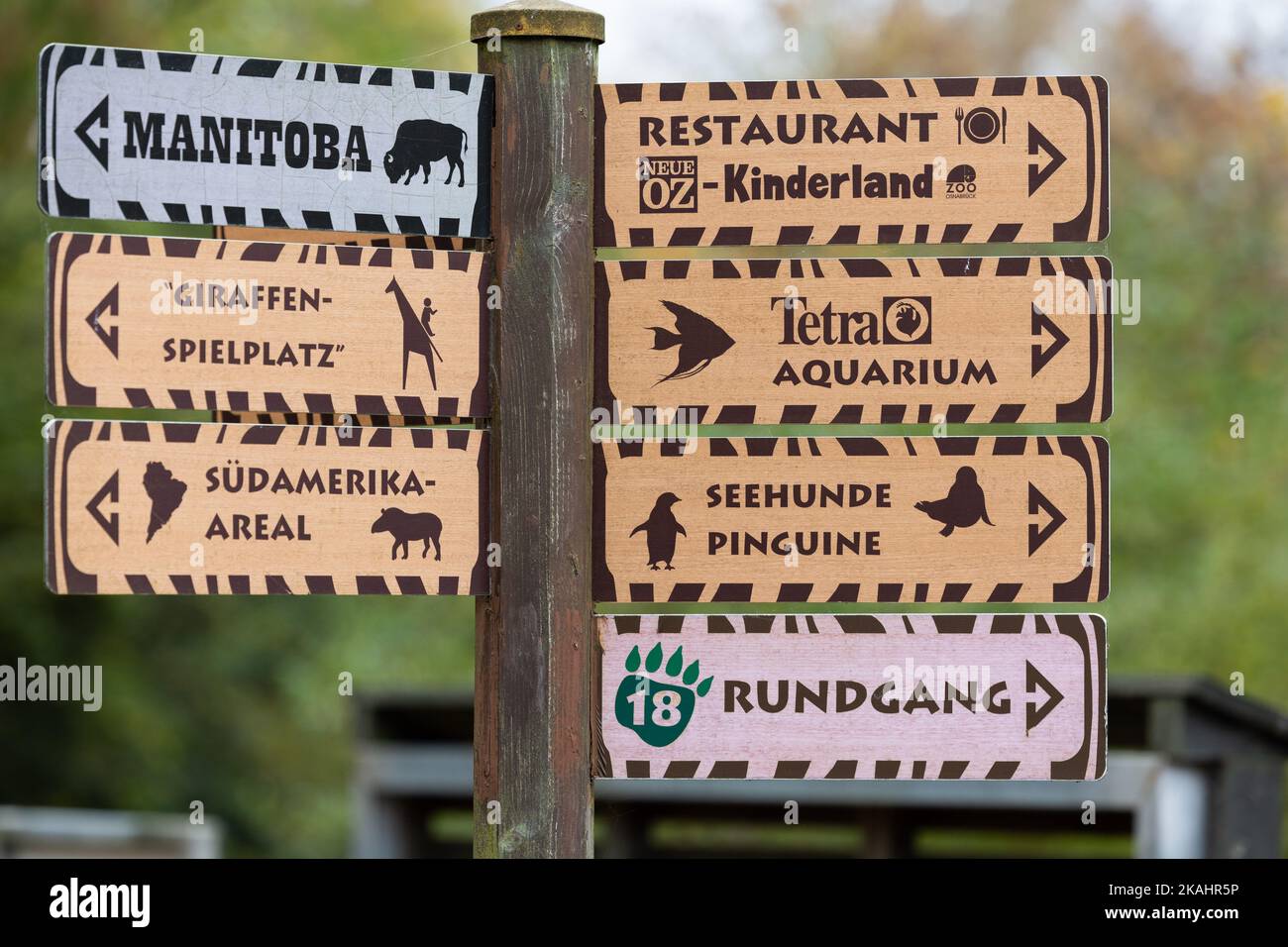 03 November 2022, Lower Saxony, Osnabrück: View of signpost at ...