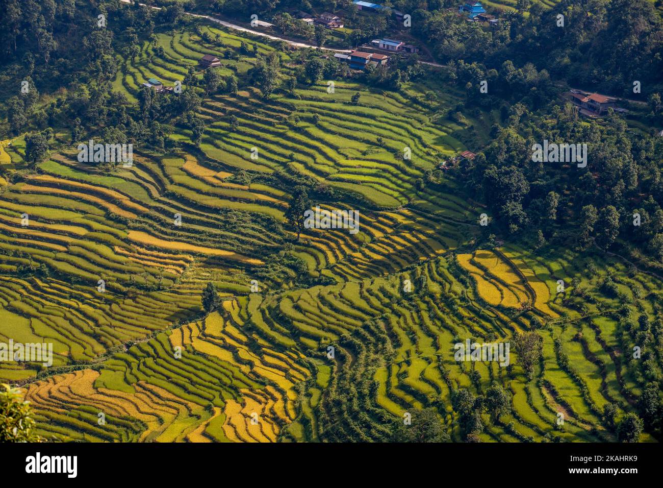 Beautiful Ghale Gau and Bhujung village of Nepal Stock Photo - Alamy